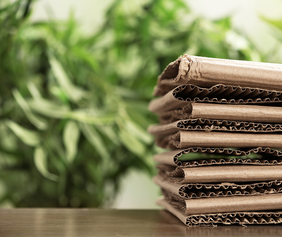 Imballaggi ecosostenibili in polpa di carta - Pulp Pack